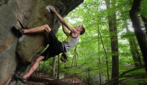 Coopers Rock State Forest: The Complete Visitors Guide - Visit ...