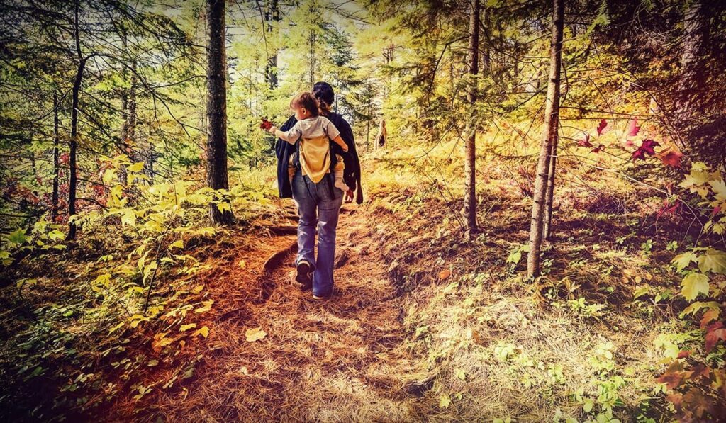 Coopers Rock State Forest: The Complete Visitors Guide - Visit ...