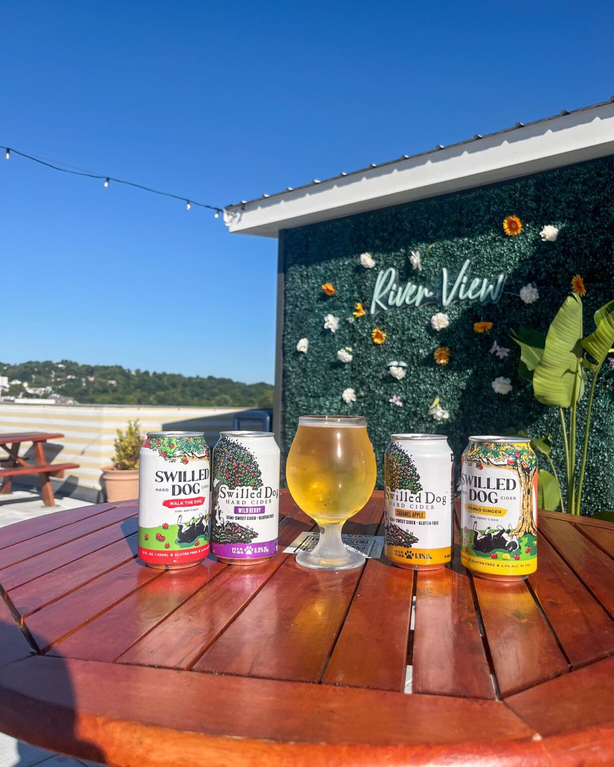 The River View Rooftop - Visit Mountaineer Country