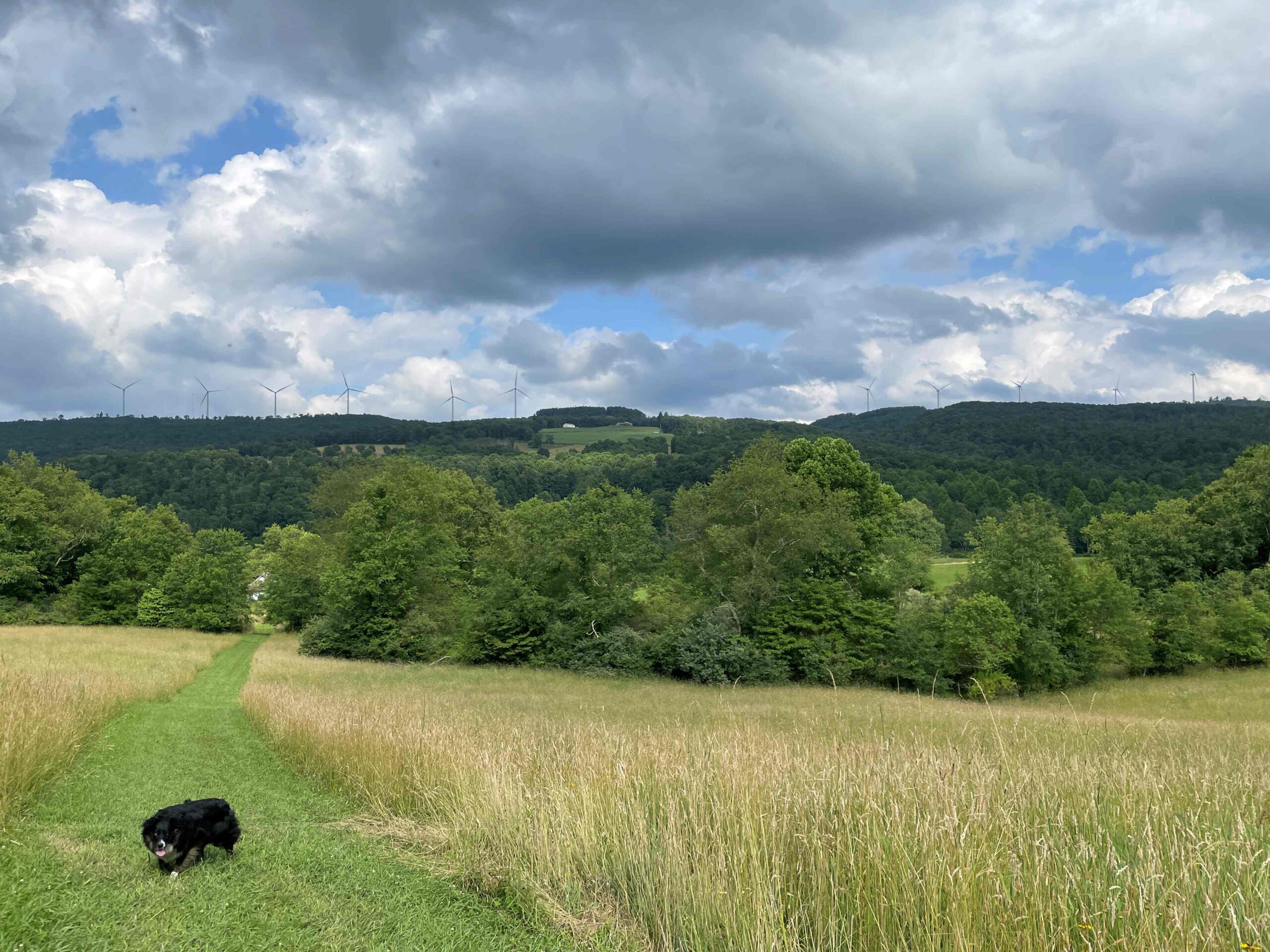 Explore Belington, West Virginia: Railroads, River Views, and Small ...