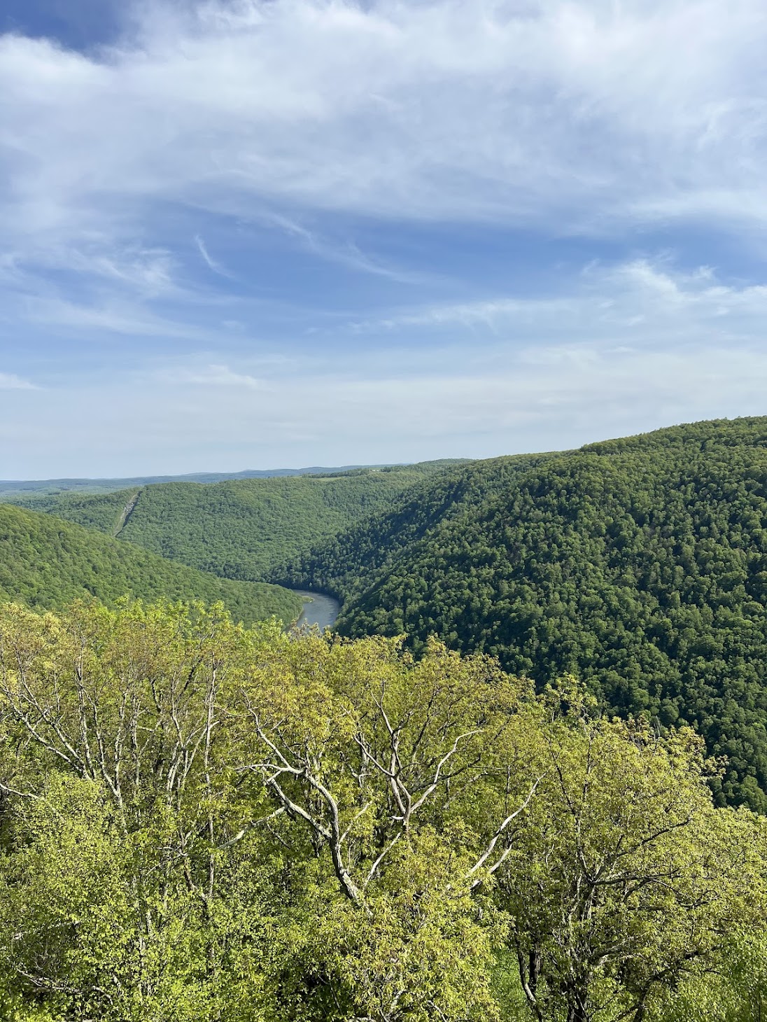 Coopers Rock State Forest - Visit Mountaineer Country