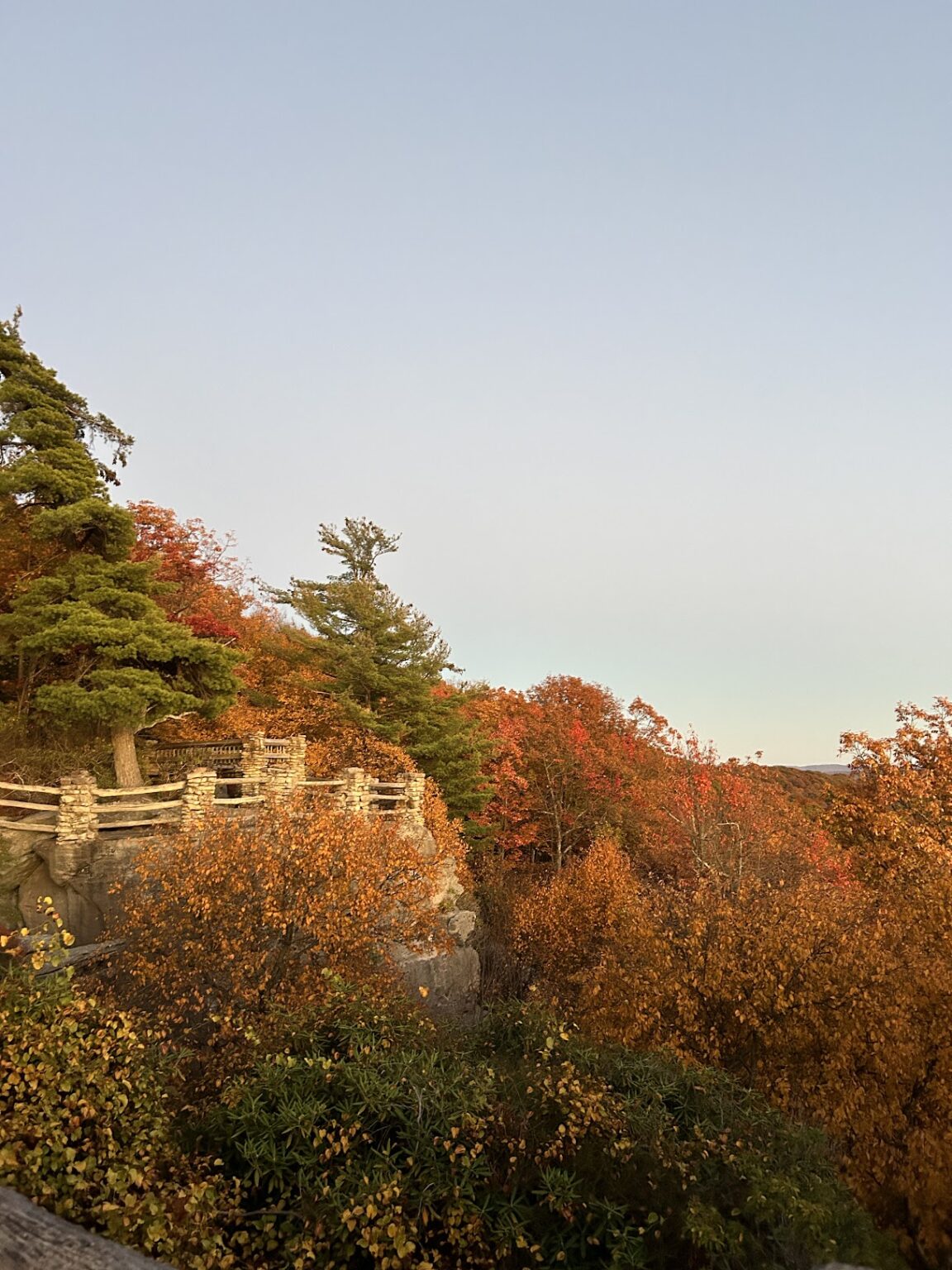 Coopers Rock State Forest - Visit Mountaineer Country