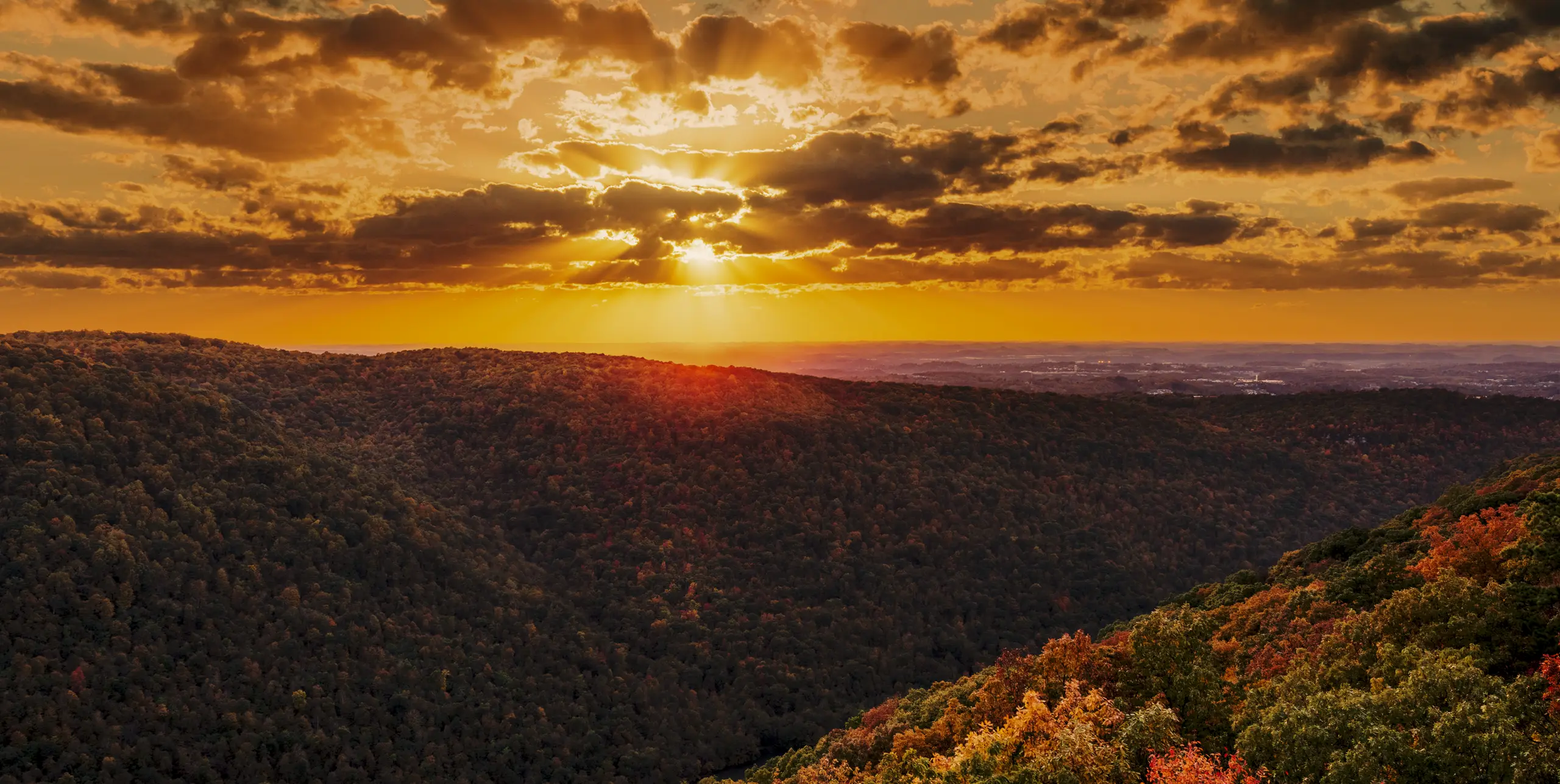 Explore Elkins, West Virginia: Mountain Music, Outdoor Adventures, and ...