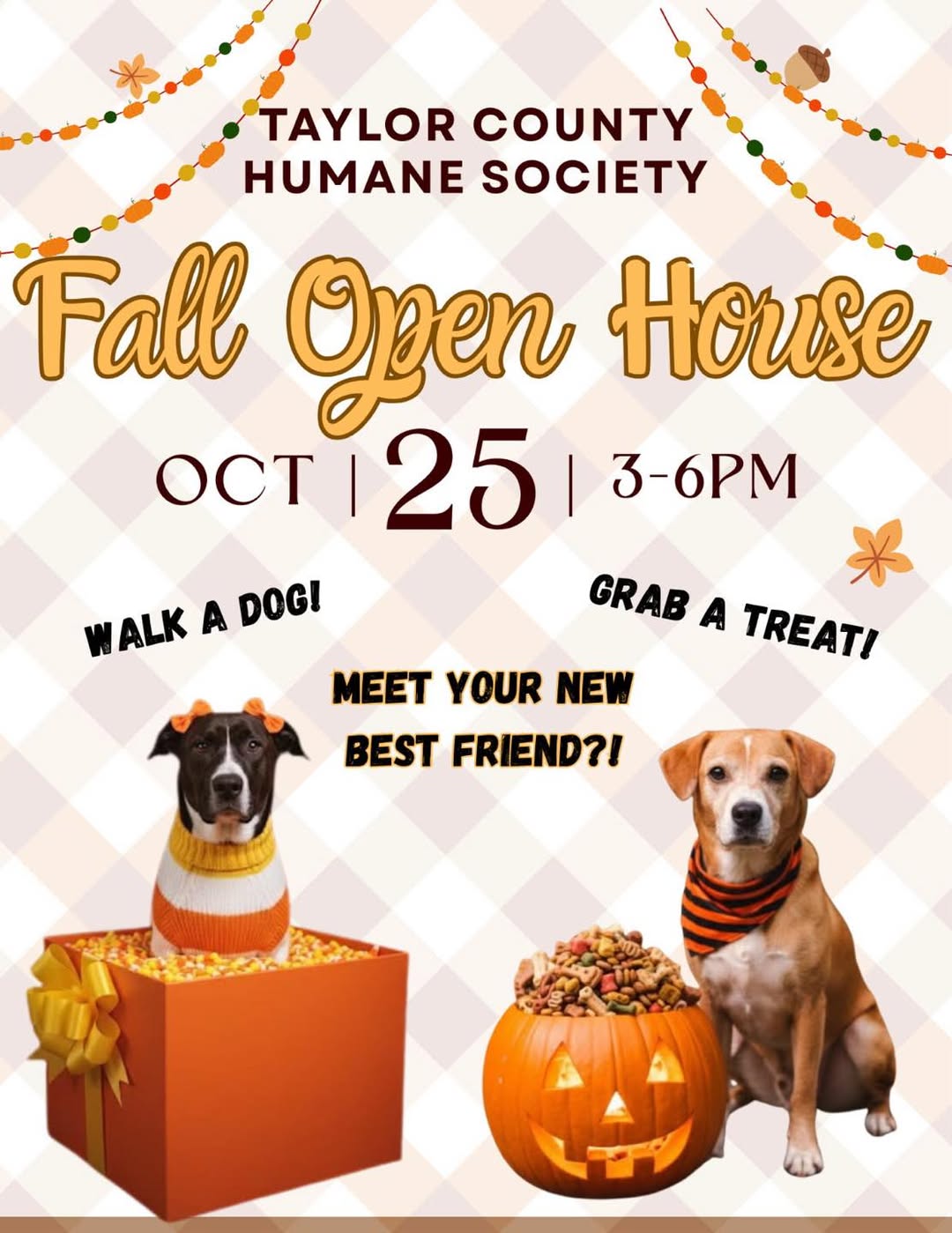 Taylor County Humane Society Fall Open House - Visit Mountaineer Country