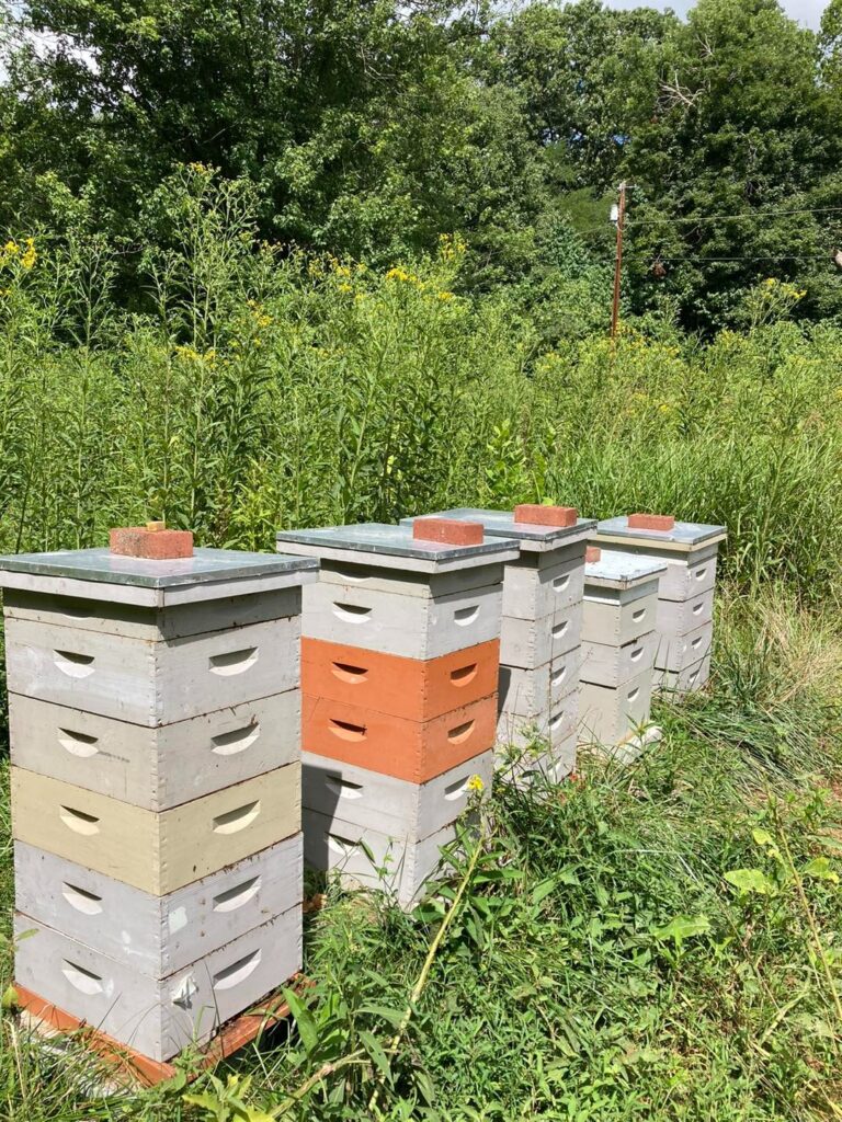 Hive House Apiaries - Visit Mountaineer Country